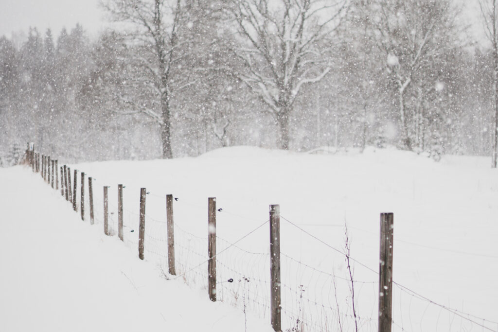 Winter atmosphere - ygg&lyng